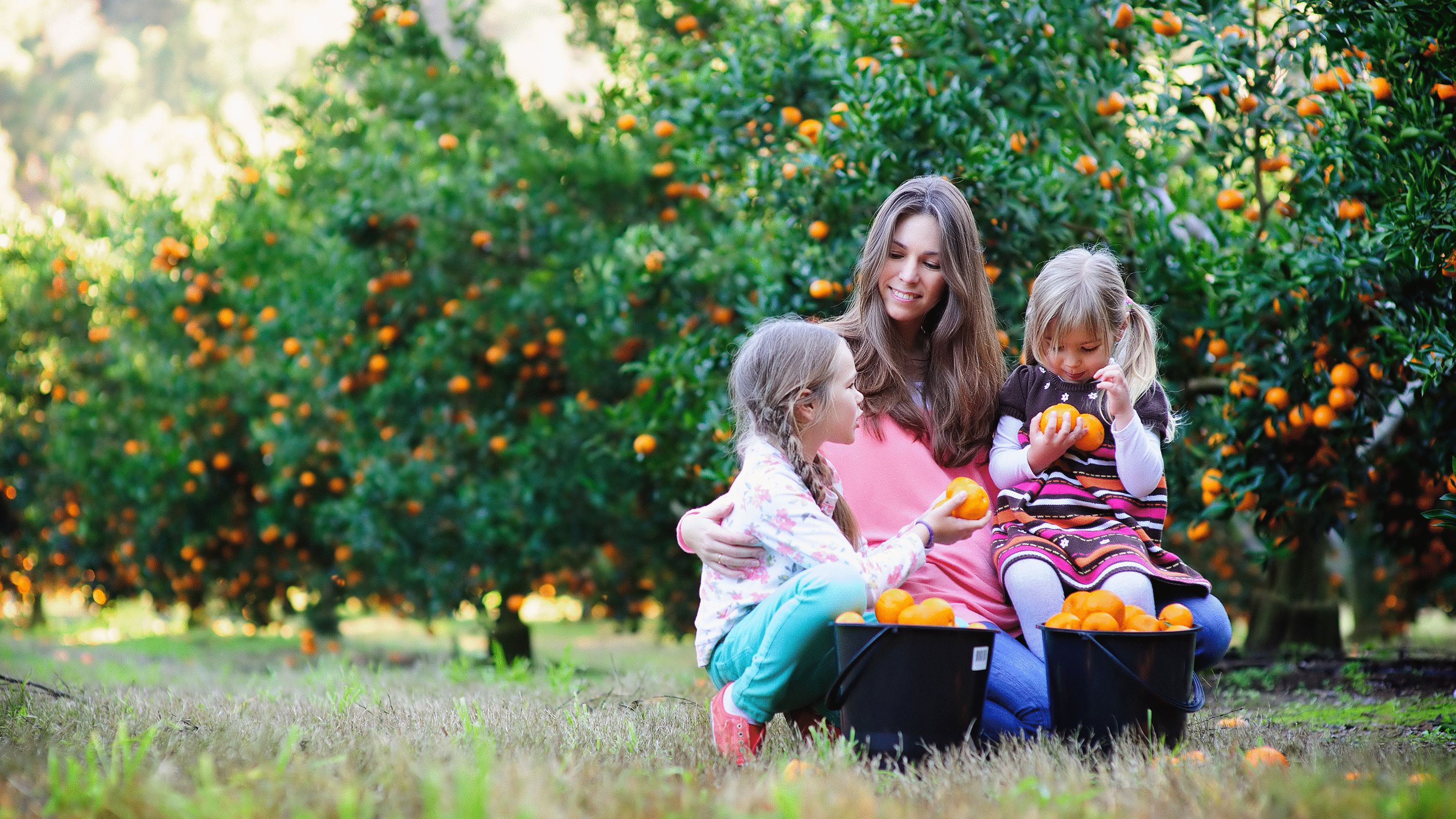 Salud inmunitaria - Health Sciences